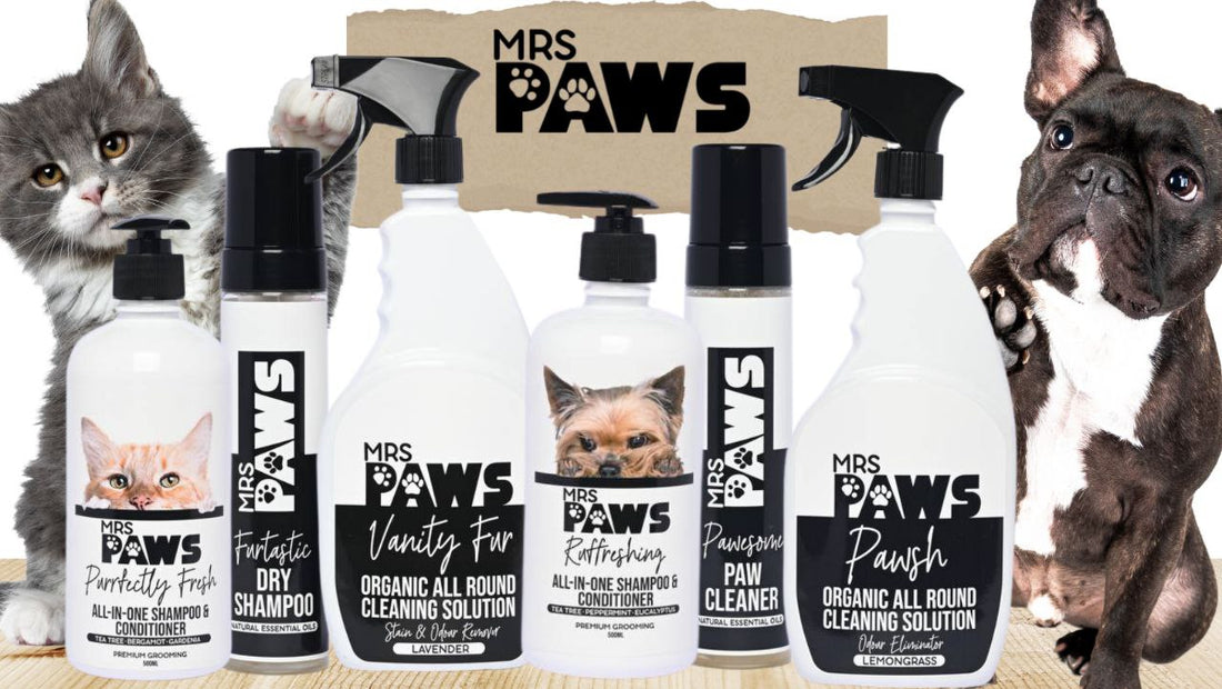 Testimonials – Mrs Paws